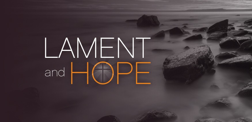 Lament and hope inspire vision for land restoration | Bread for the World