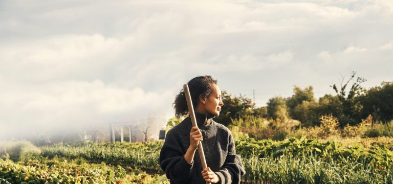 Bread for the World: We Speak Up to End Hunger