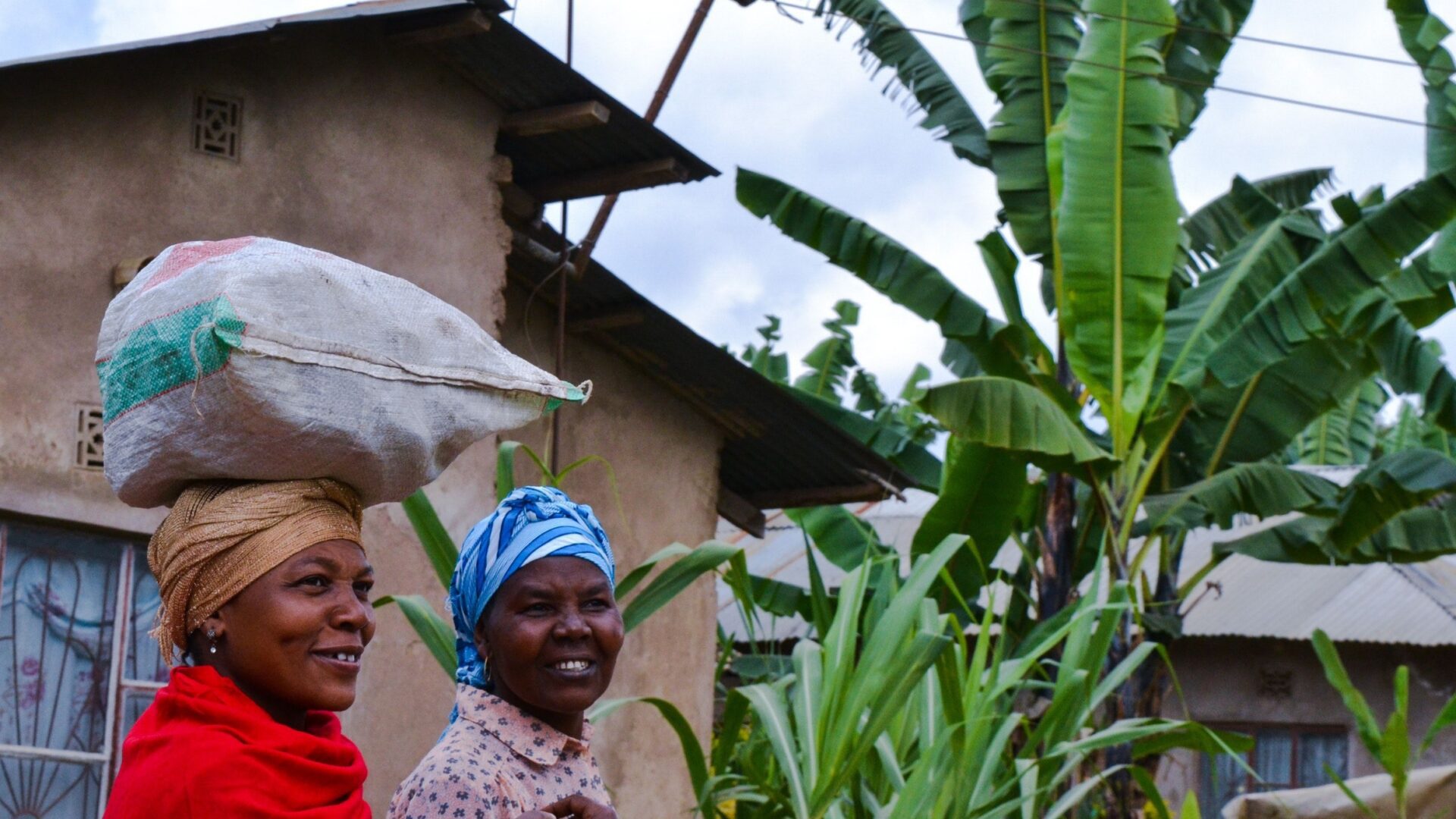 What Causes Hunger? | Bread for the World