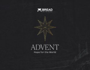 Preparing Our Hearts During Advent