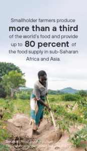 What Are the Challenges of Smallholder Farmers Around the World ...