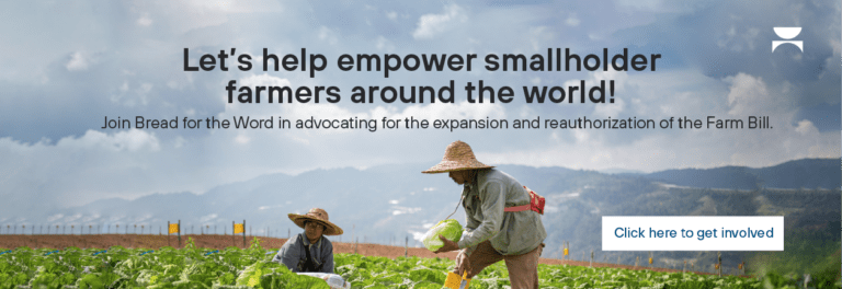 What Are the Challenges of Smallholder Farmers Around the World ...
