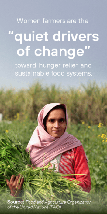 What Are the Challenges of Smallholder Farmers Around the World? - Bread for the World