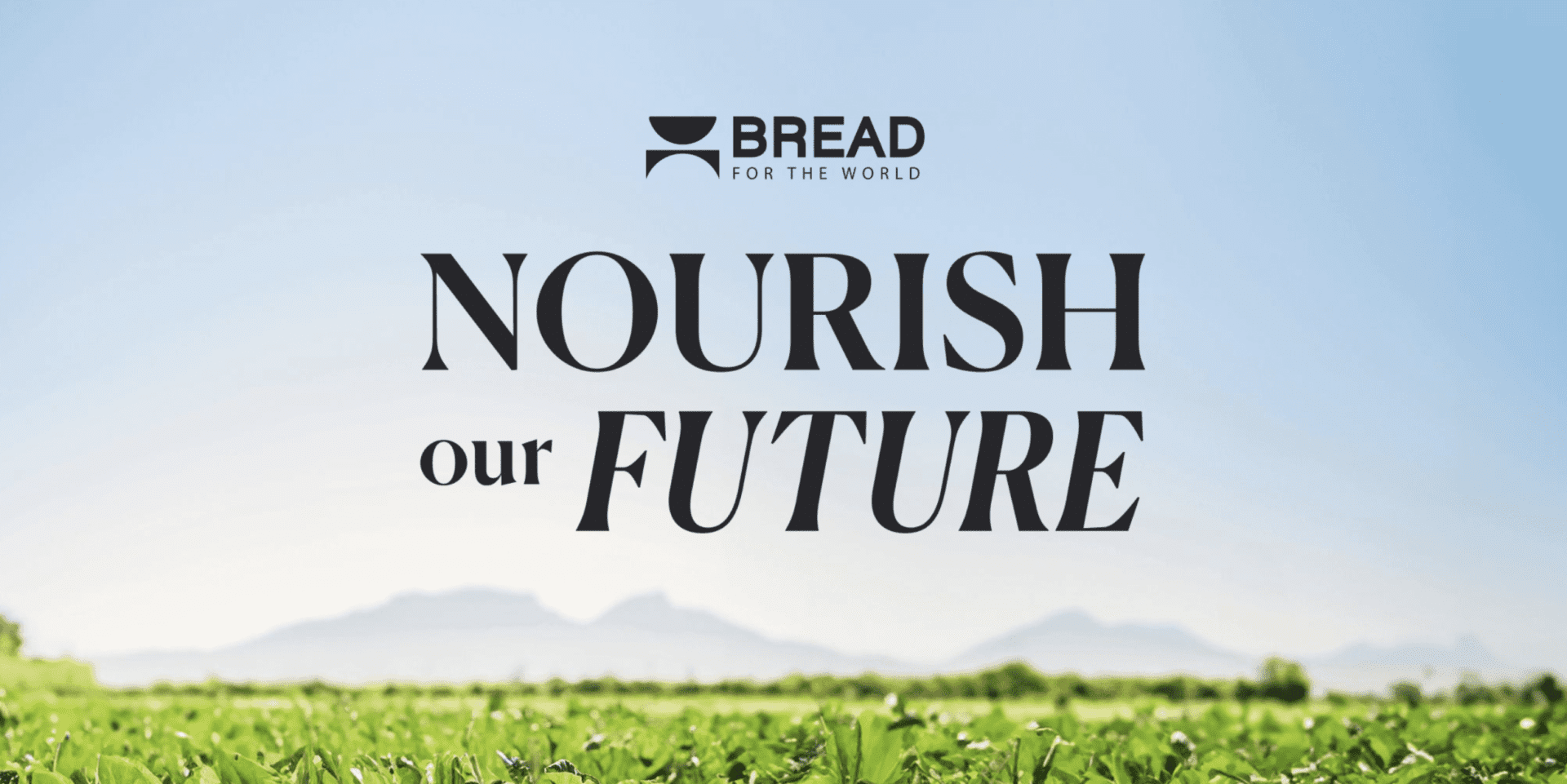 Impact Report - Bread for the World
