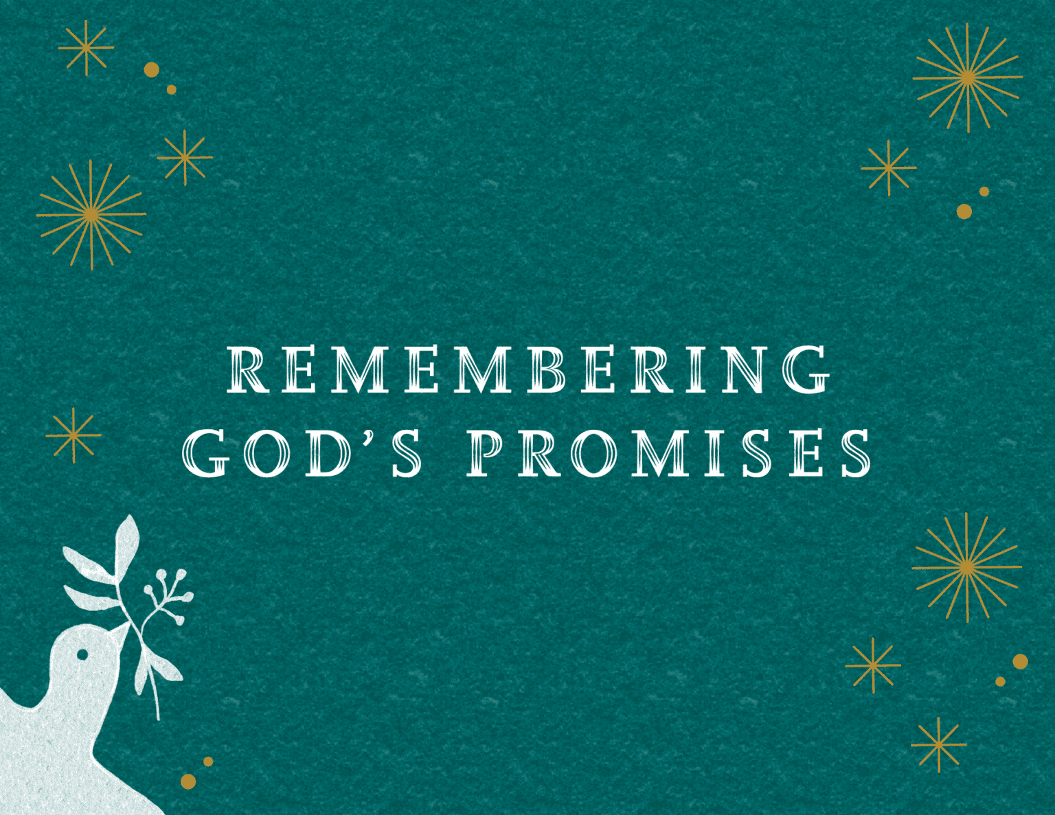 Advent 2024: Seeking Peace in this Advent Season - Bread for the World